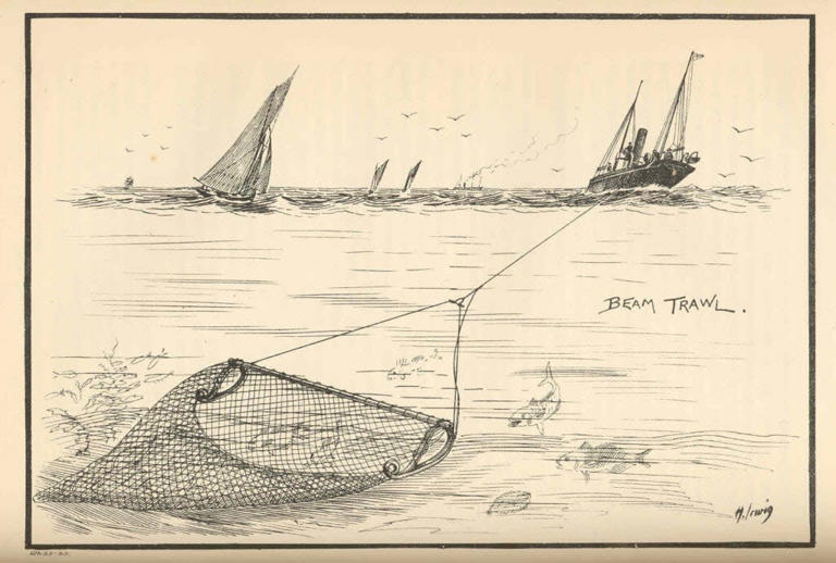 UK Claims 38% of its Seas are Protected. Thousands of Hours of Trawling ...