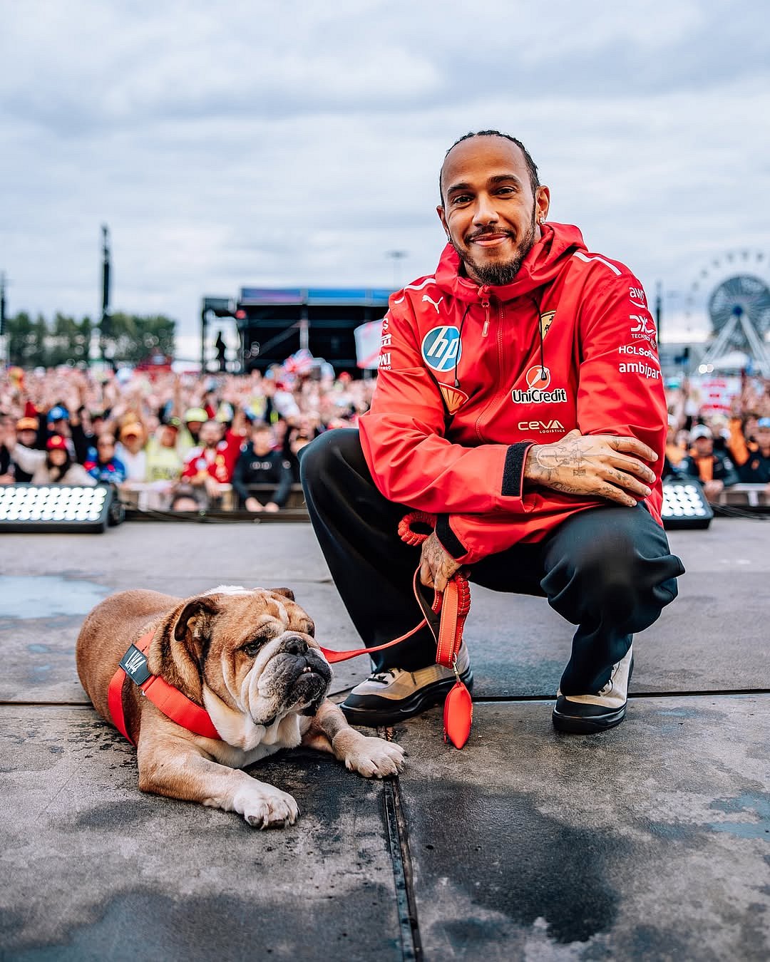 Who Was Roscoe? About Lewis Hamilton's Bulldog With Over 1M Followers