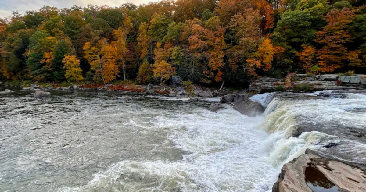2 Gorgeous PA Waterfalls Worth a Fall Hike