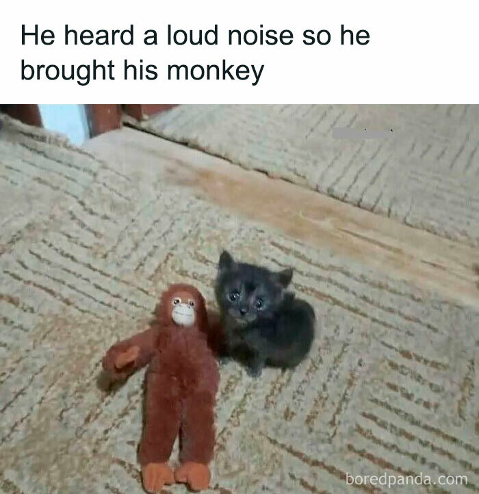 This Instagram Page Nails Antisocial Humor, Here Are 46 Of Their Best Memes