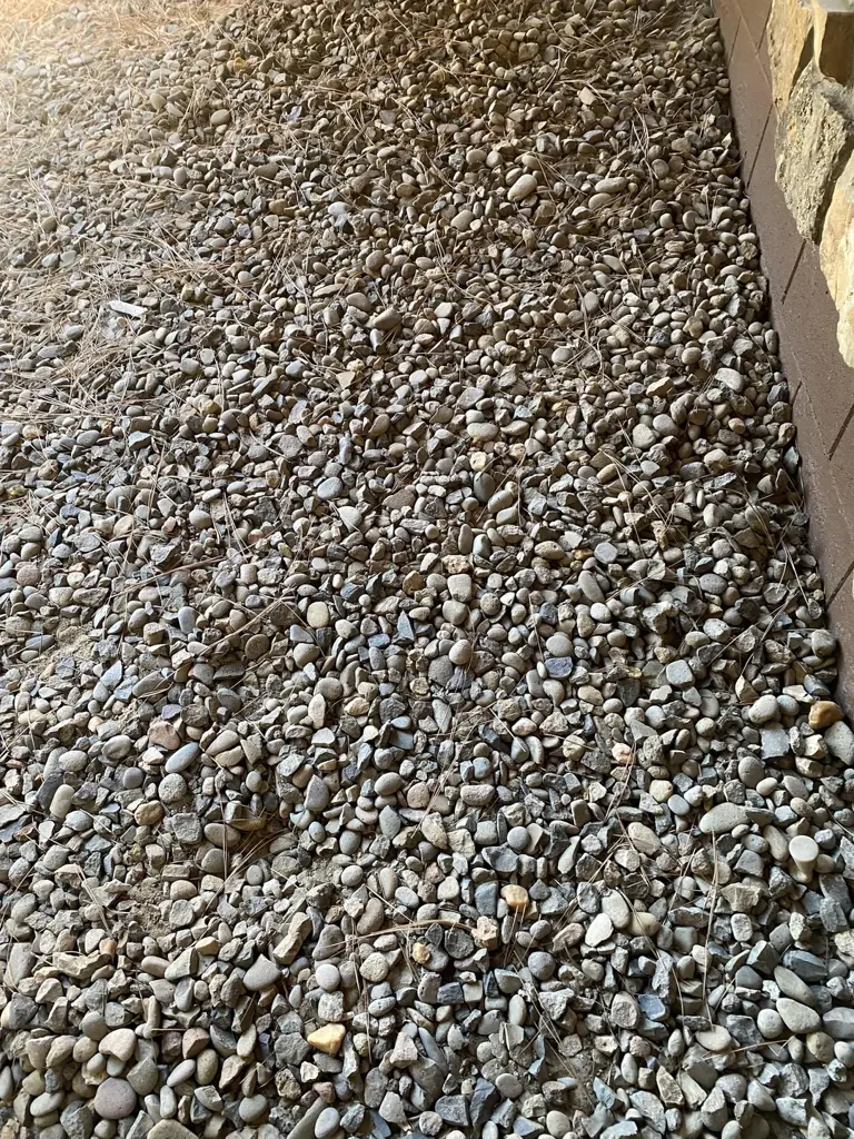 Seules les personnes avec un QI très élevé peuvent trouver la clé sur cette image : y ...