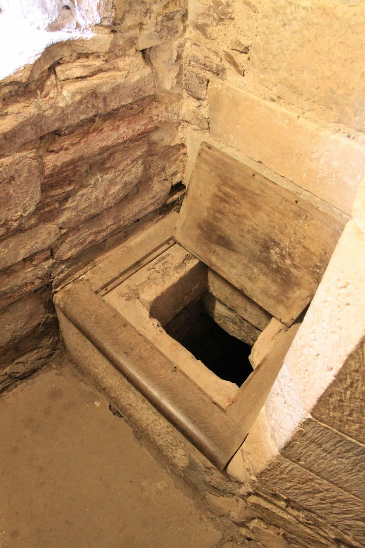 The evolution of toilets