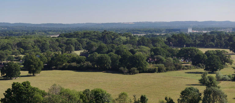 Letter to the editor: Proposed Ifield Park boundary set after Historic ...