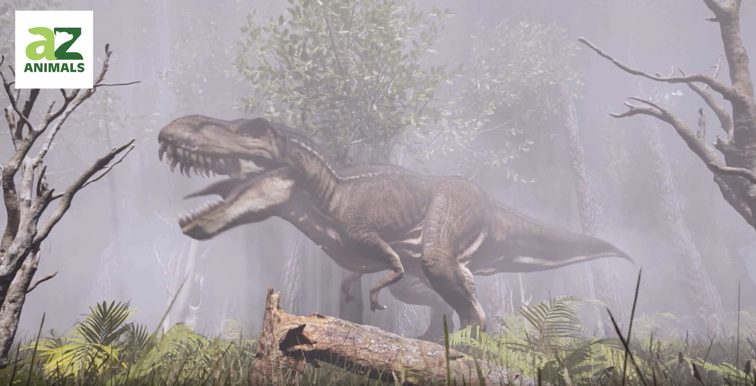 Does the Bible Actually Talk About Dinosaurs?