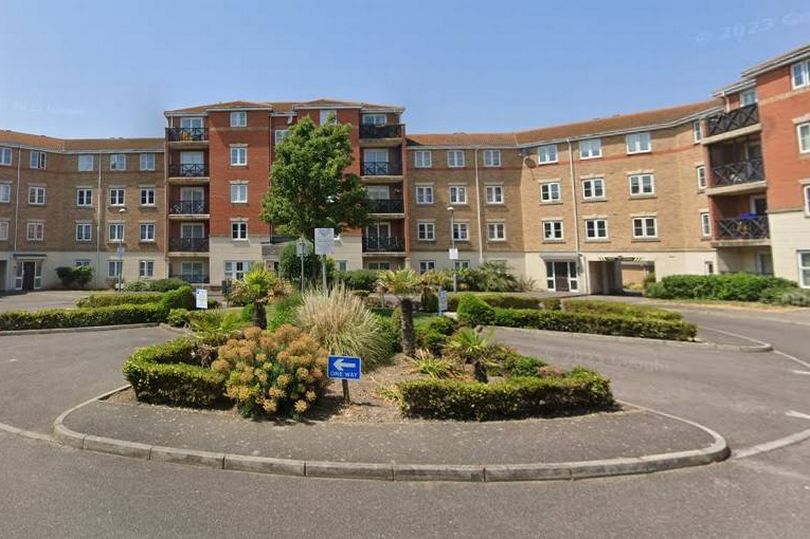 Woman, 34, killed by dog in 'freak accident' as it fought over chicken ...