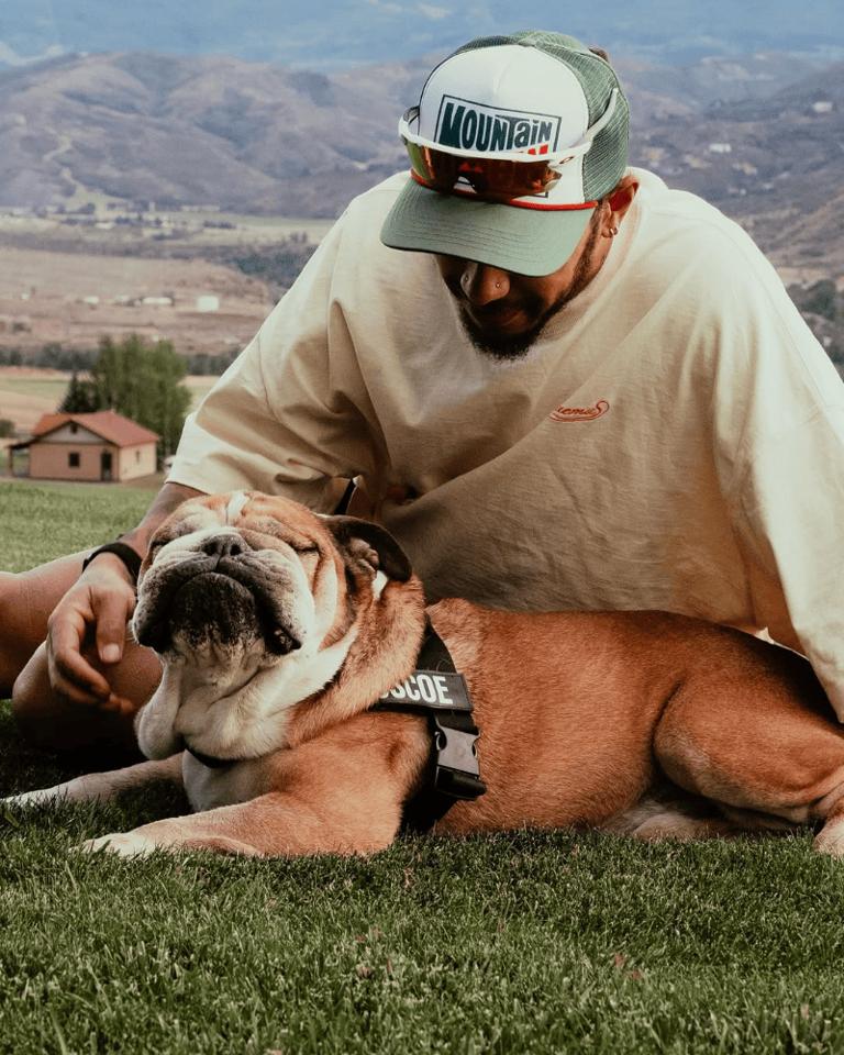 Lewis Hamilton confirms the death of his dog Roscoe with an emotional ...