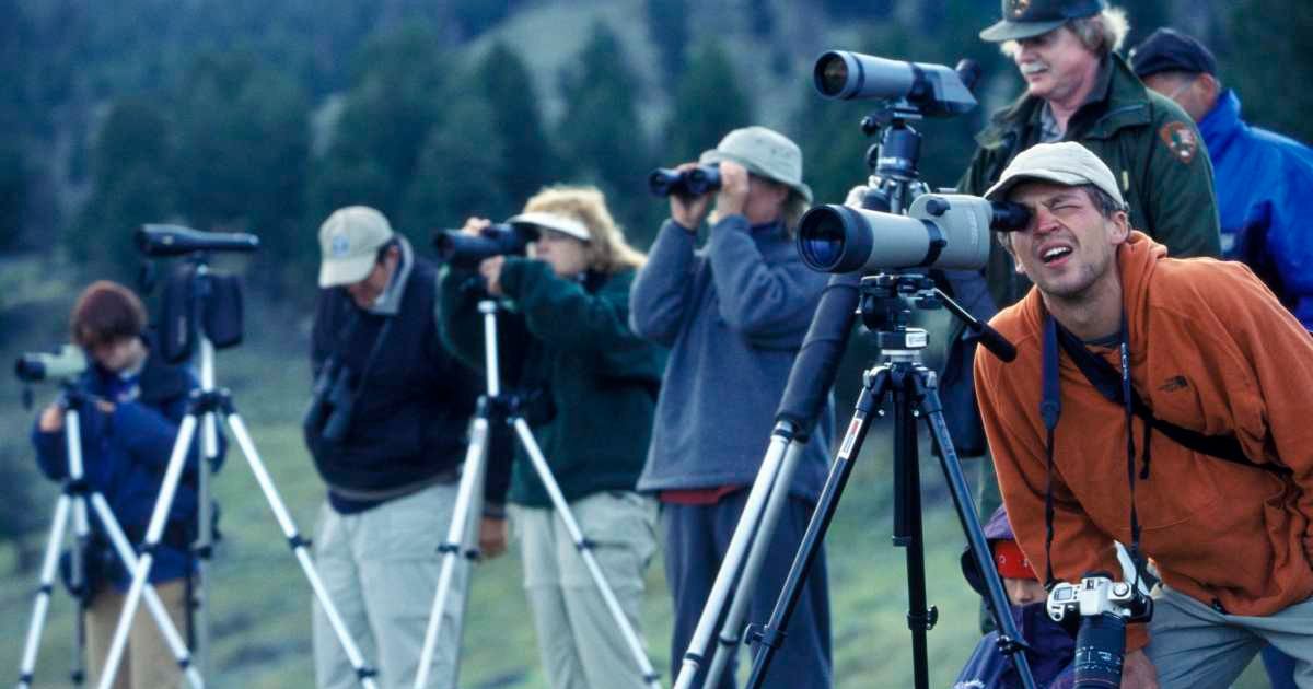 Researchers Use 3,000 Cameras To Capture These Elusive Animals — And It ...