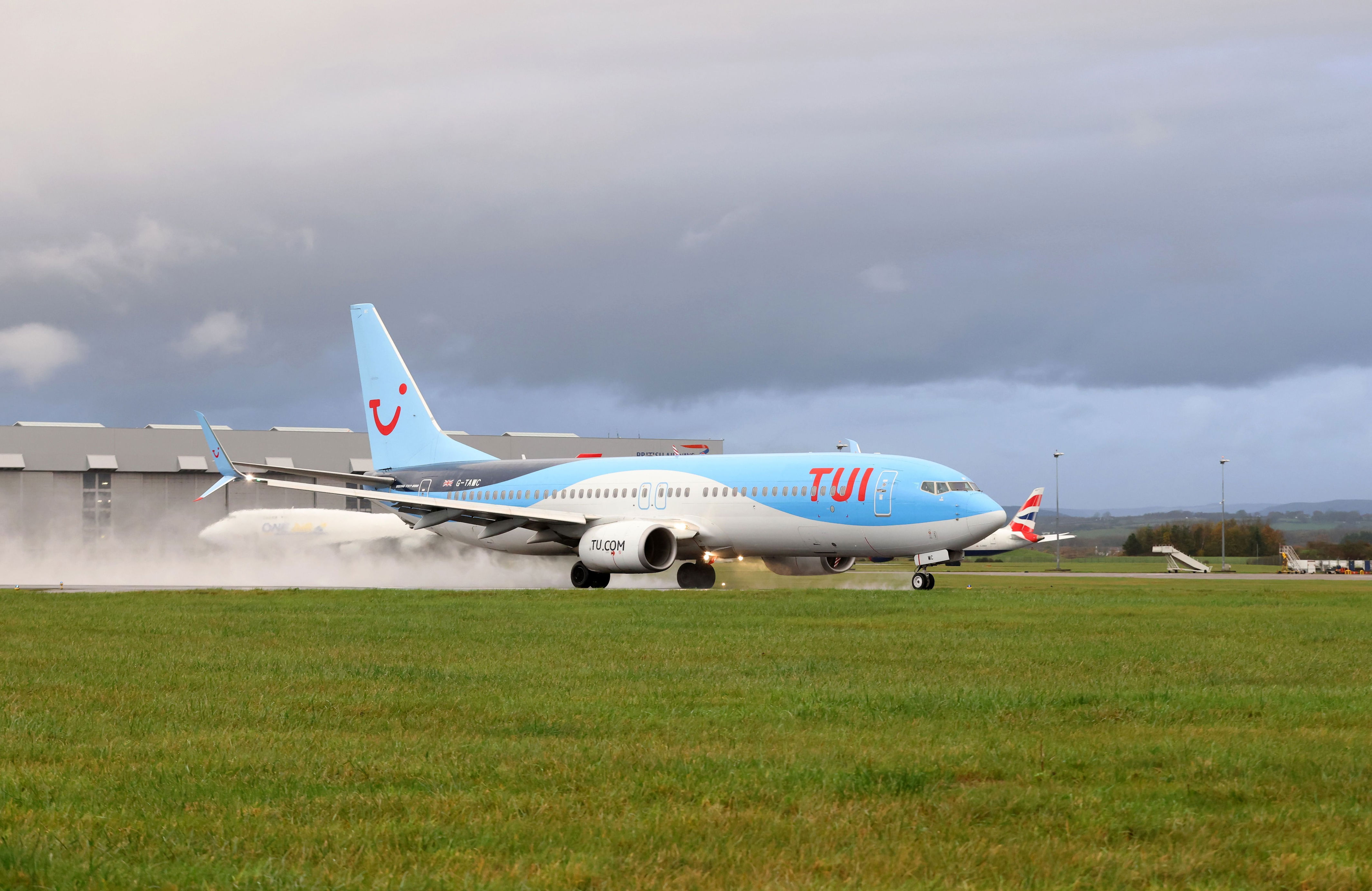 Flight Grounded After ‘Bird Strike’ During Takeoff