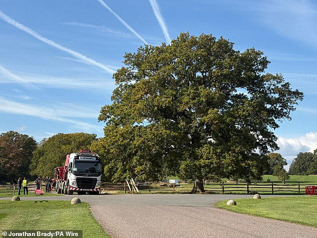 Kate and Wills' 'ring of steel': Preparations begin for 'no-go zone ...