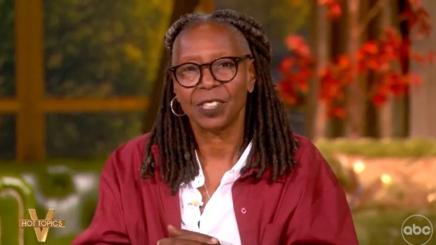 'The View': Whoopi Says Someone Should Sue Over Reflecting Pool ...