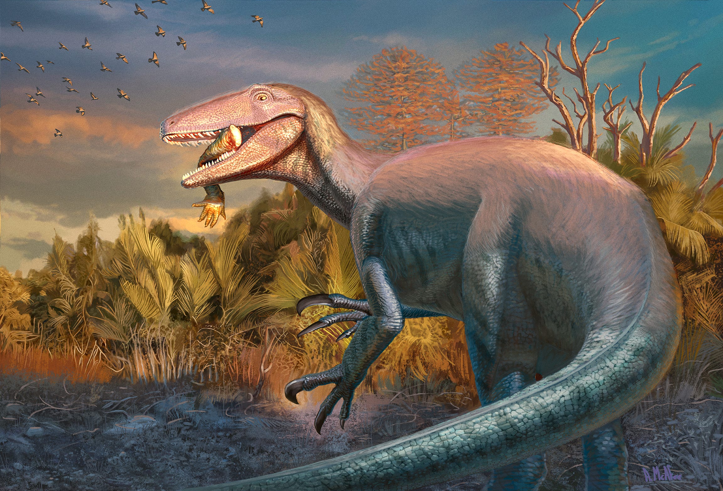 Fossils of new dinosaur show megaraptor having a crocodile dinner