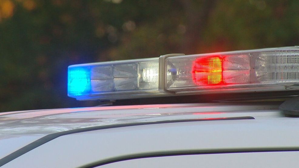 USDA funds help Michigan fight Christmas tree diseases threatening ...