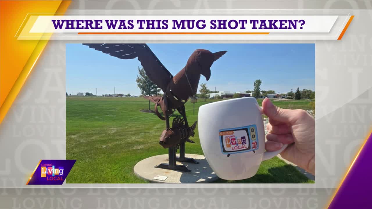 Consumer Reports: E-bikes 101