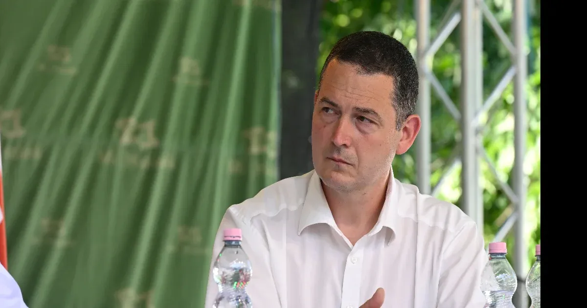 Rendet kell tenni Gyömrőn a frissen polgármesternek választott mi ...