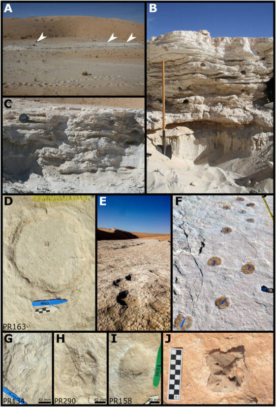 Ancient Footprints Emerge From Sands Where Humans Shouldn’t Have Walked