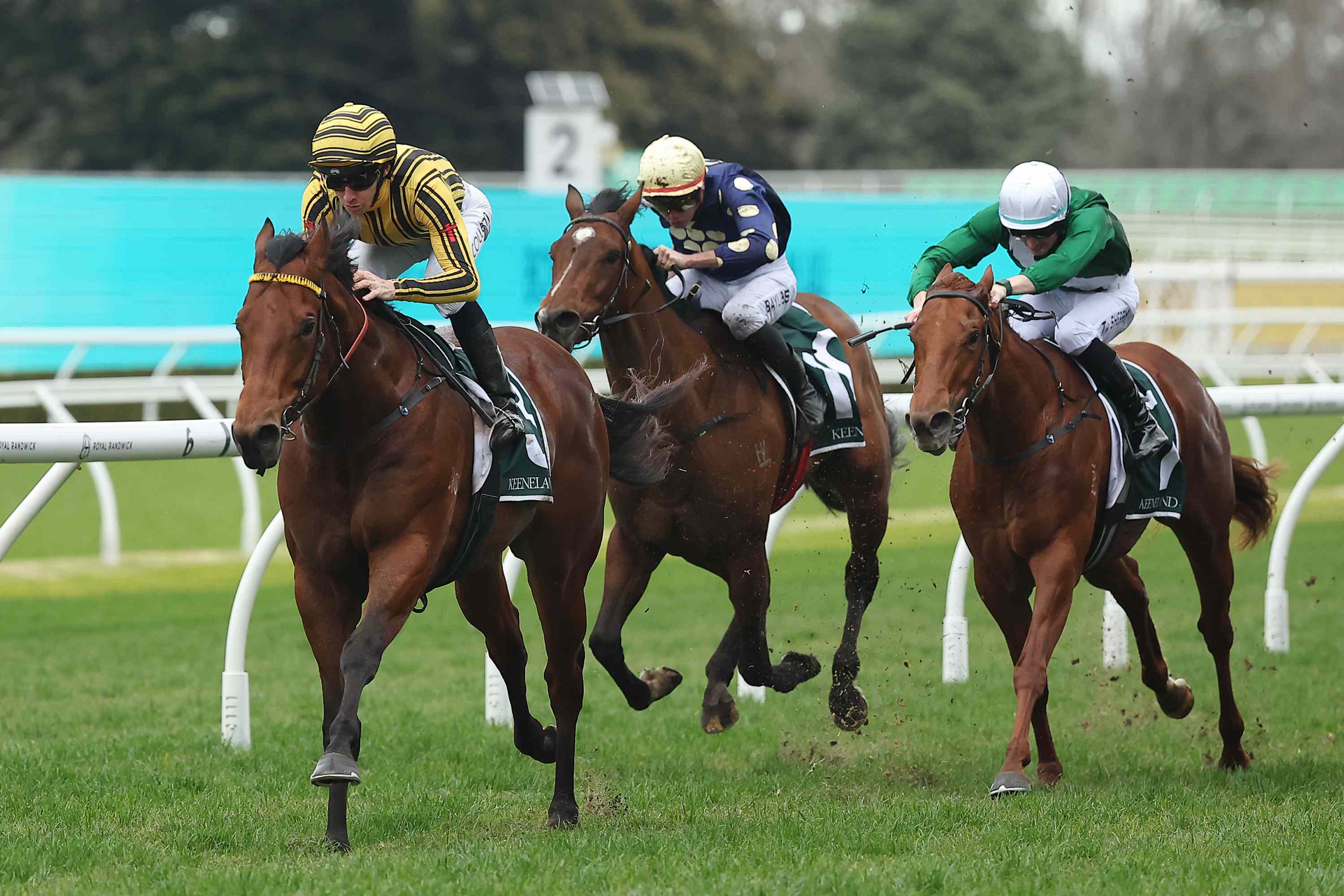 Racehorses, Yachts, Private Jets—The Wealthy Are Getting a Nice Tax ...