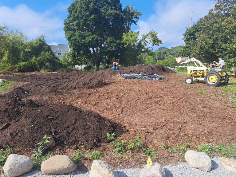 Micro forest newest feature of Muskegon Nature Preserve