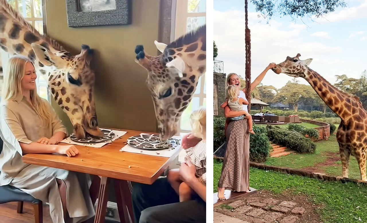 Room tour of the coolest hotel in the world!