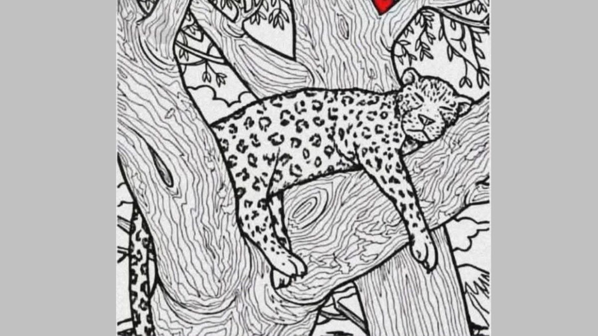 Only 3 out of 100 can use their Ultra-HD Vision to find the Hidden Fish ...