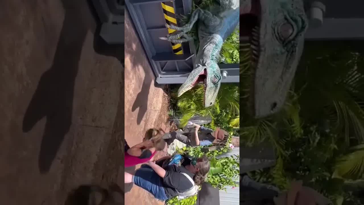 jurassic world's blue raptor encounter frightens kids at universal's ...