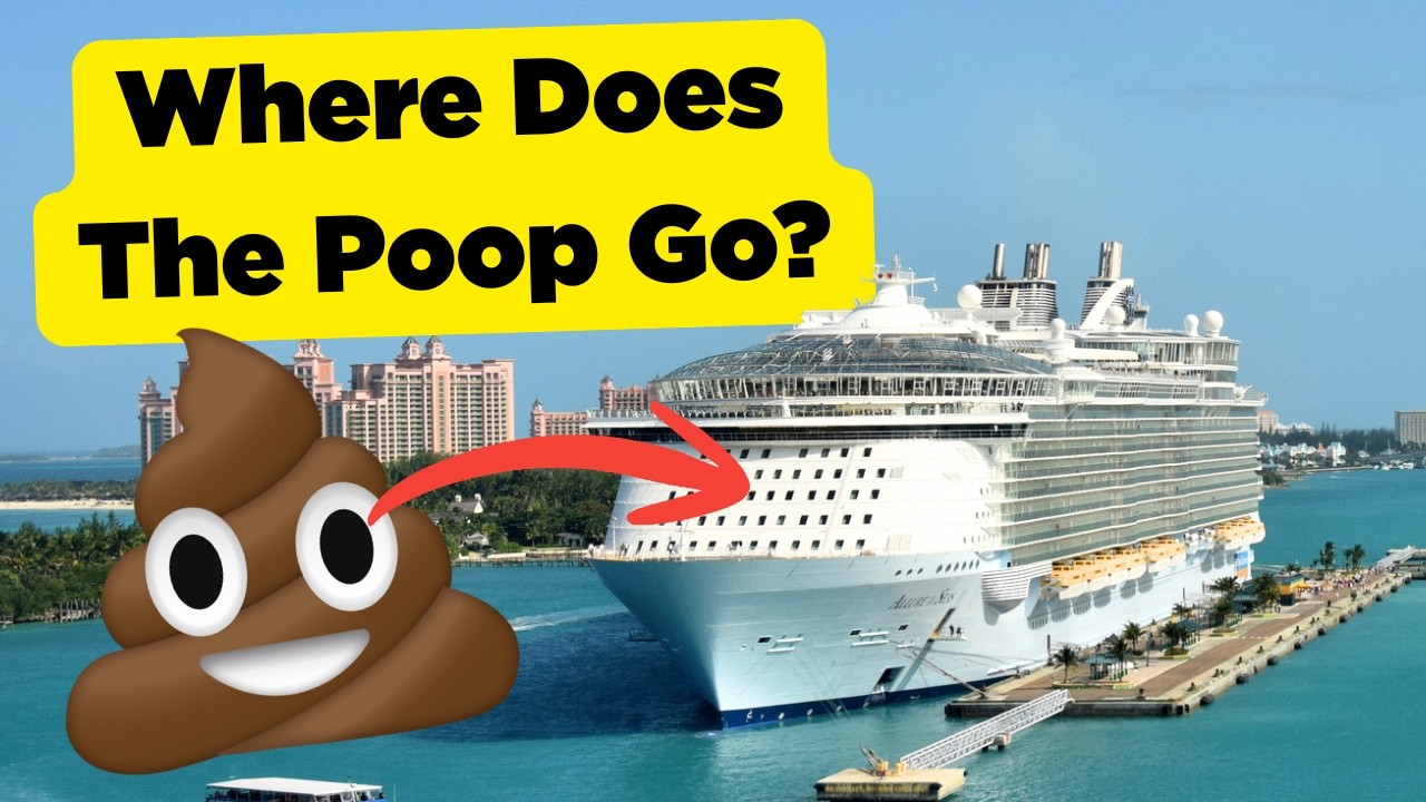 Where poop goes on a cruise ship