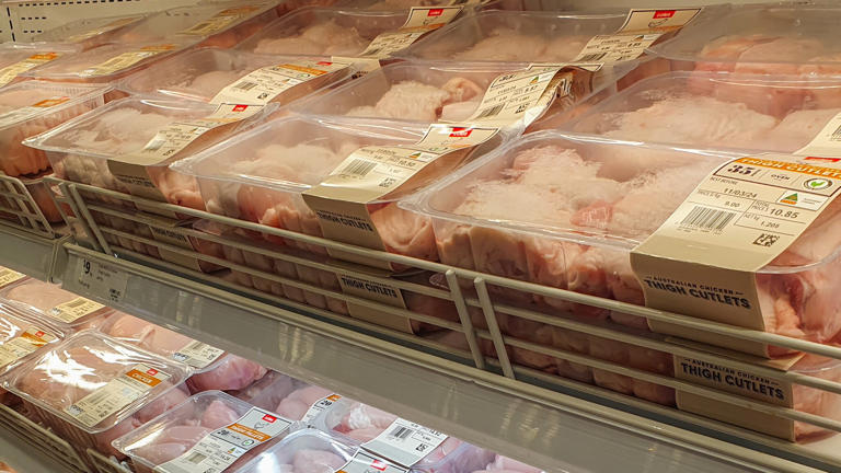 Chicken meat industry review finds market failures threaten supply ...