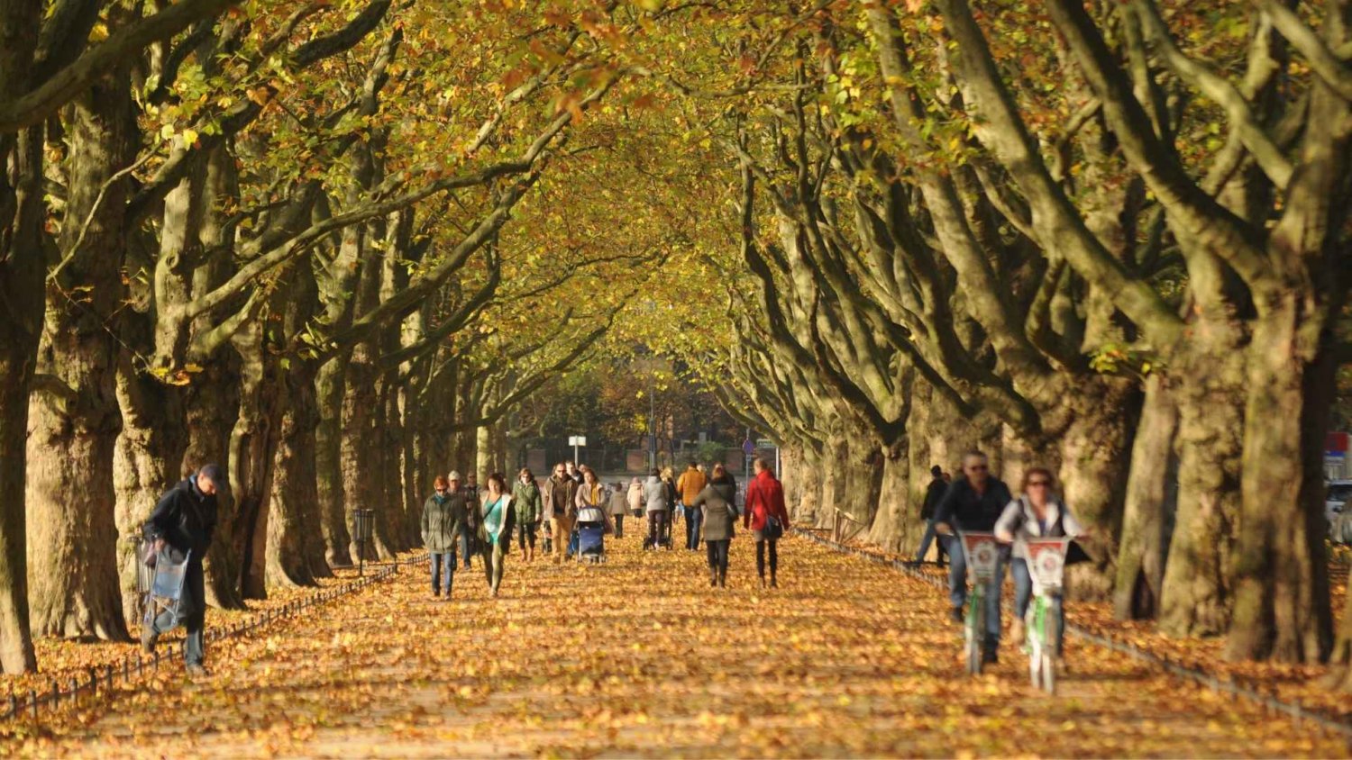Nadciąga babie lato. Tego dnia termometry znów pokażą 25 stopni Celsjusza
