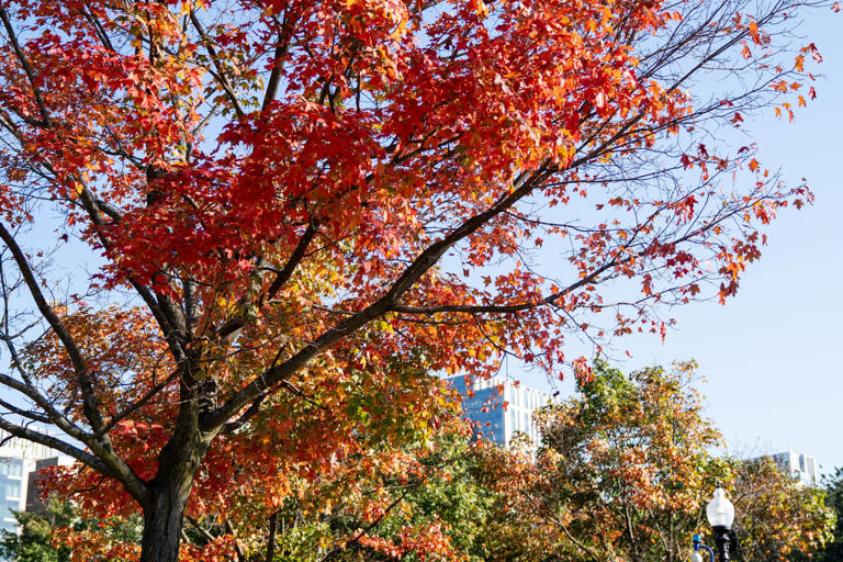 Photos: See New England’s best fall foliage so far this year