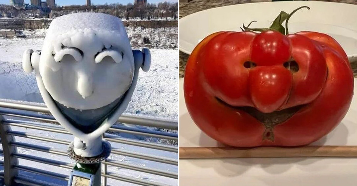 30 Funny Pareidolia Pictures Revealing Faces Found In Everyday Objects ...