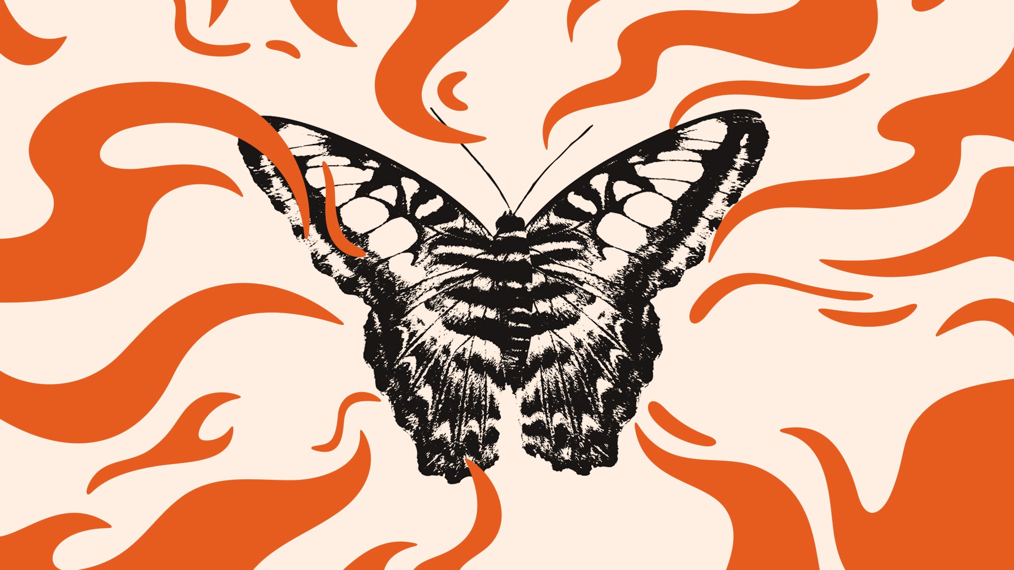 The Machines Finding Life That Humans Can’t See