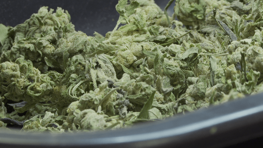 ‘I wouldn’t want to be anywhere else,’ Inside one of Missouri’s largest ...