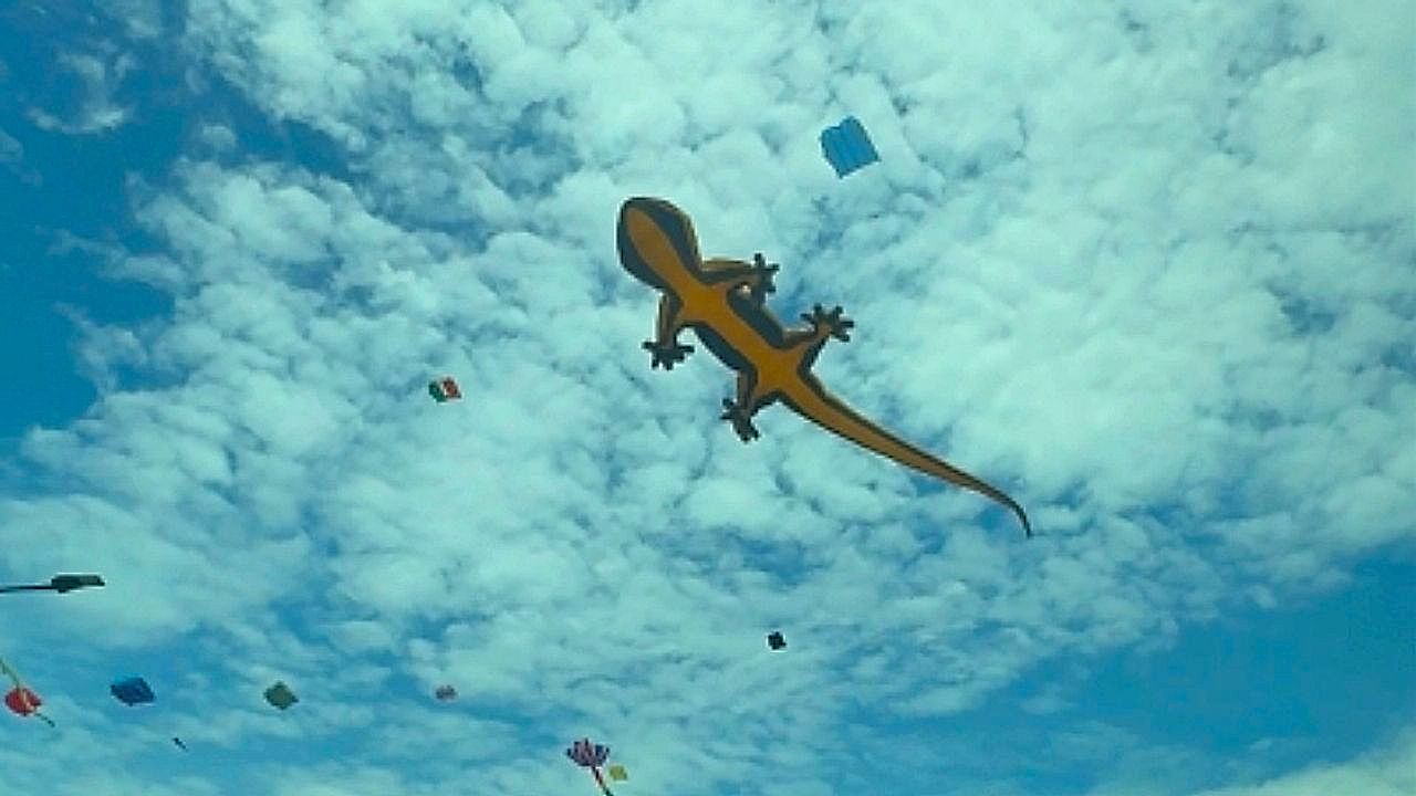 Giant lizard kite steals the show in Malaysia