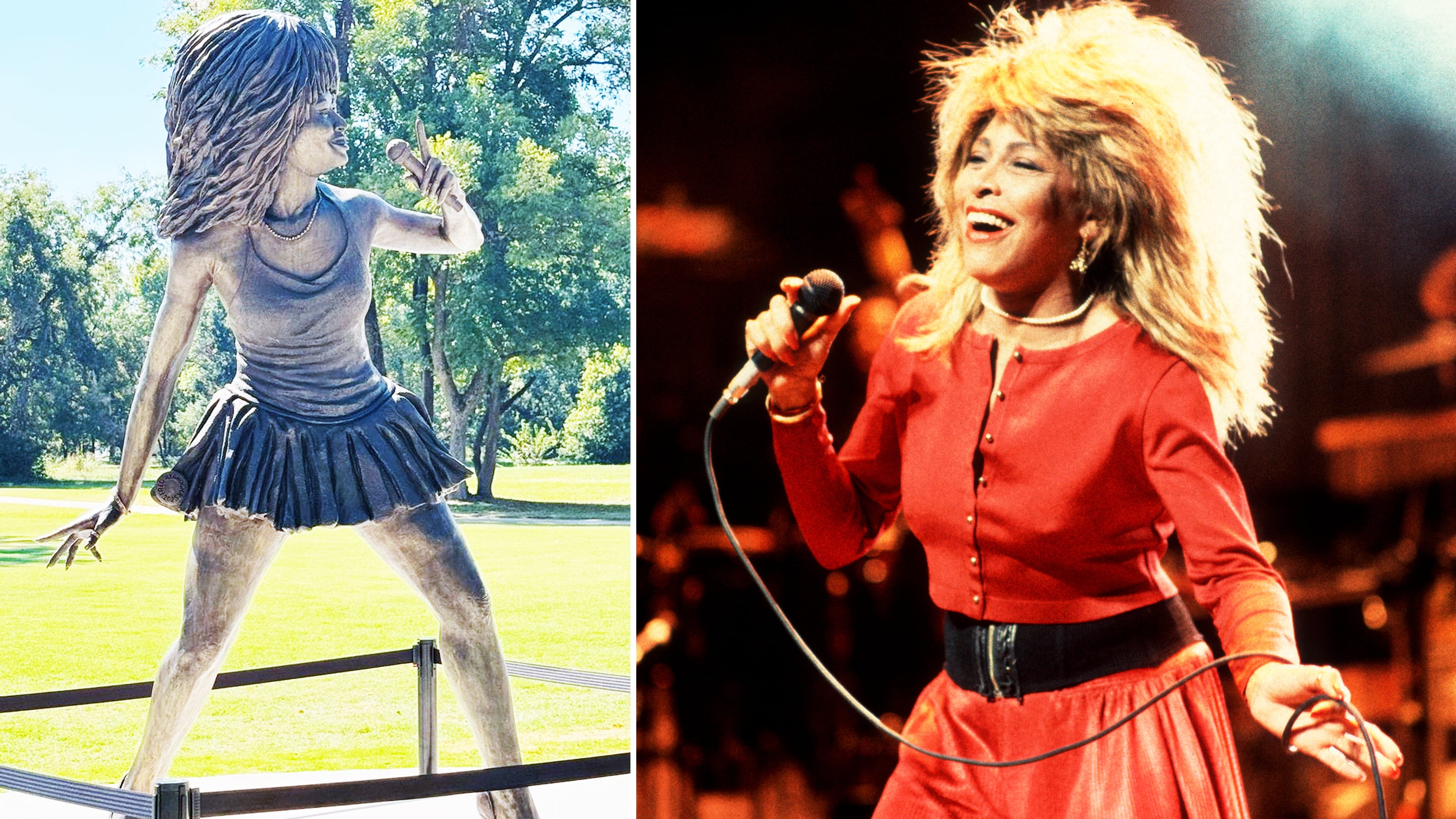 ‘Horrible’ Hometown Tina Turner Statue Slammed by Fans