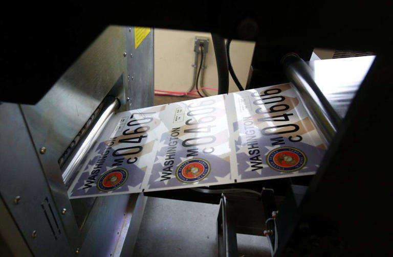 Want a new WA license plate? Drivers can choose from pickleball, bees ...
