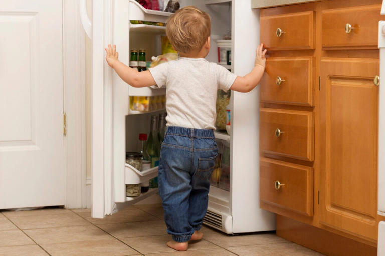 Are Fridge Locks Part Of Safe Parenting? It's Complicated