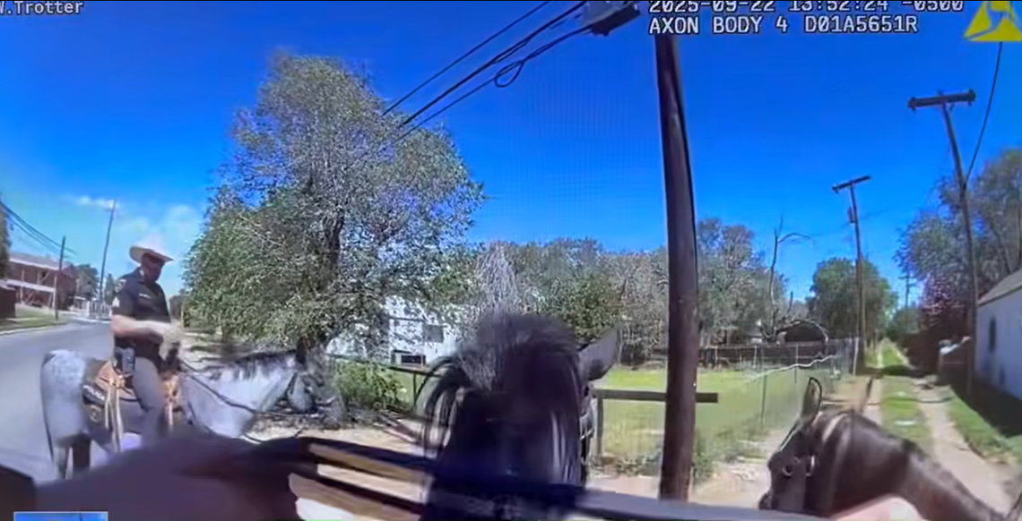 ‘Most Texan video you'll see.' Man bolts as cop says horse sniffs ...
