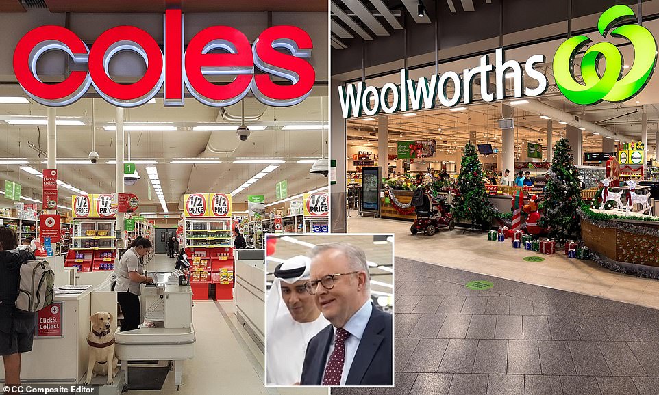 Albo invites Middle Eastern grocery chain to take on Coles and Woolies