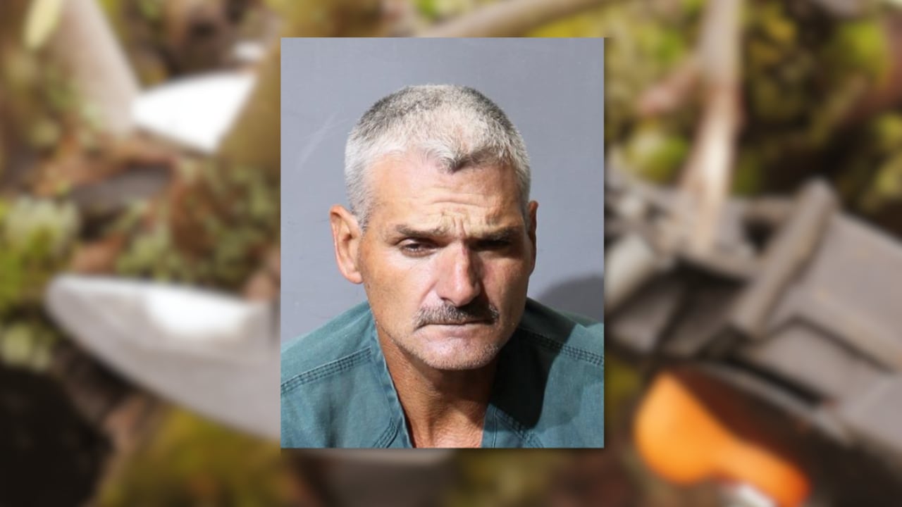 Local tree trimmer with lengthy rap sheet back behind bars