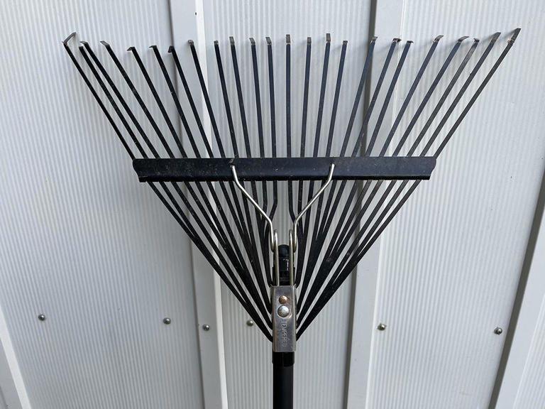 The Best Leaf Rake I’ve Ever Used: A Razor Back Rake Review