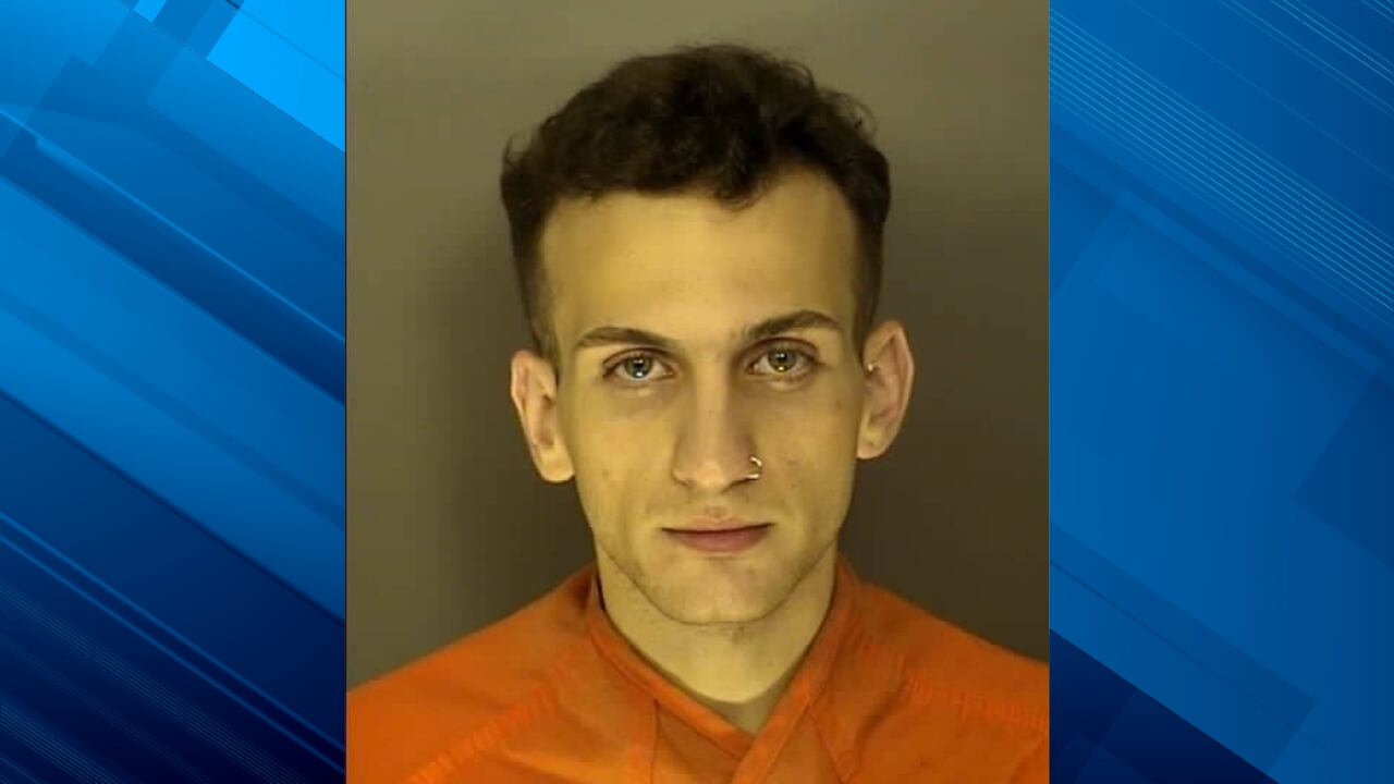 Dog abuse suspect accused of pet insurance fraud in Horry County