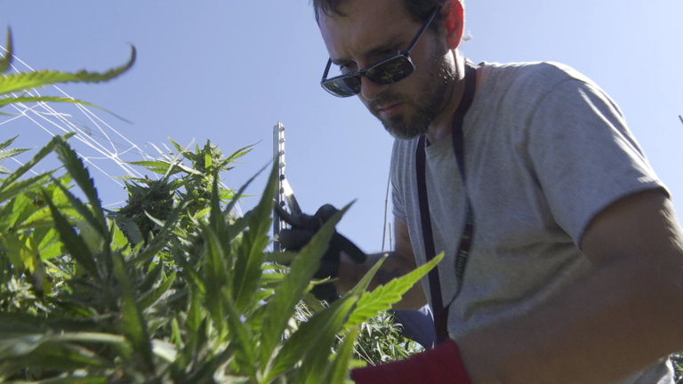 ‘I wouldn’t want to be anywhere else,’ Inside one of Missouri’s largest ...