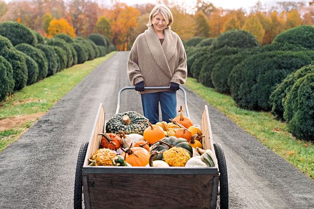 Savor the Season With Martha’s Coziest Fall Recipes