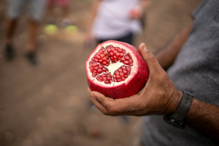 15 Ancient Foods People Still Eat Today