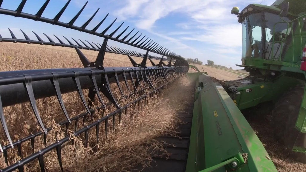 Minnesota soybean farmers face uncertain future as China shuts out U.S ...