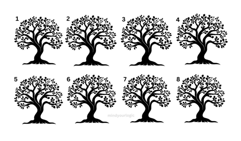 Only those with sharp eyes and a creative mind can spot the odd tree in ...