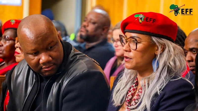 Judgment in EFF leader Julius Malema’s firearm case postponed