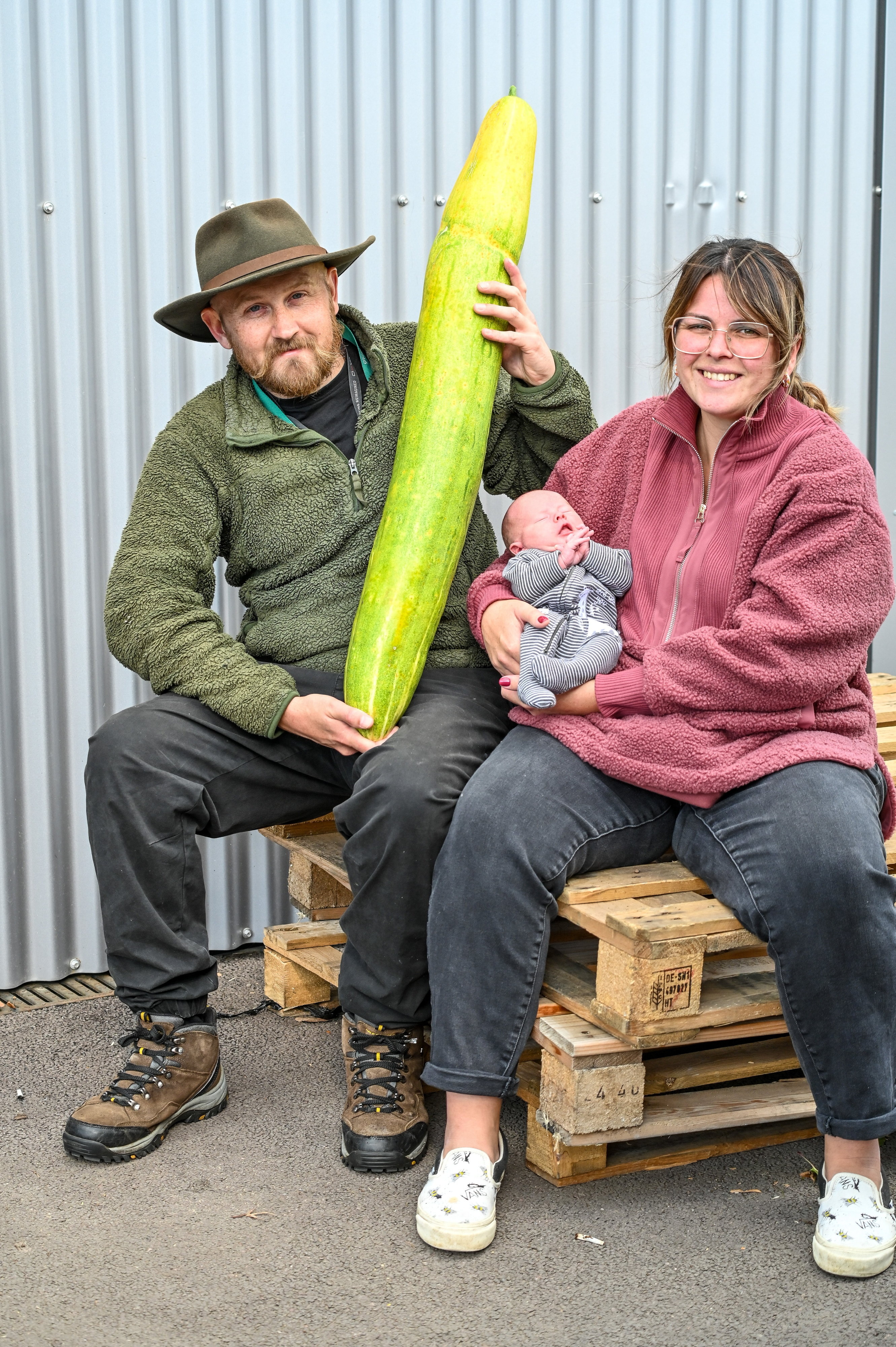 45 pictures from the Malvern Autumn Show as gardeners break 6 giant ...