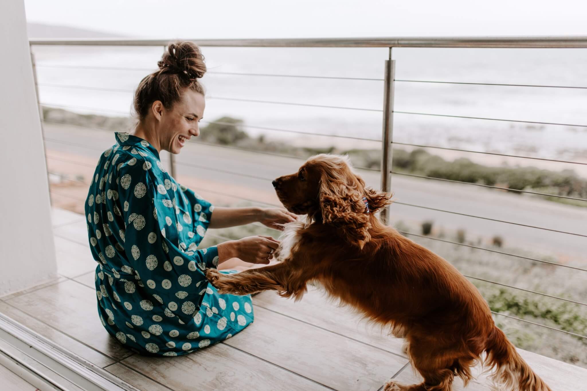 How Does Pet Insurance Work? Everything You Need To Know