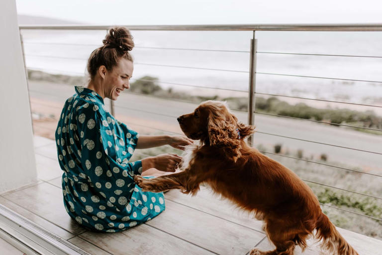 How Does Pet Insurance Work? Everything You Need To Know