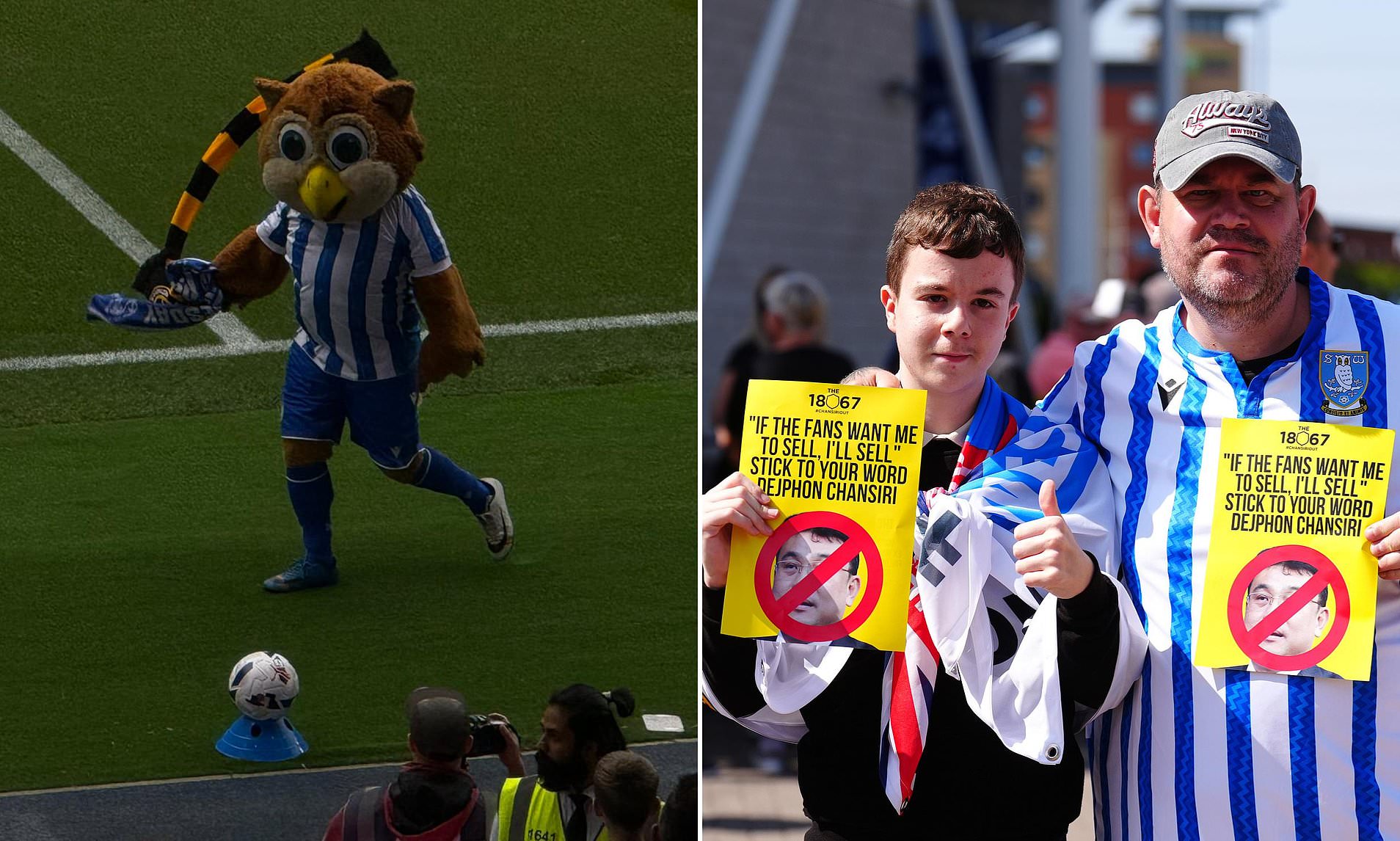 Sheffield Wednesday's MASCOT speaks out after joining protest against ...